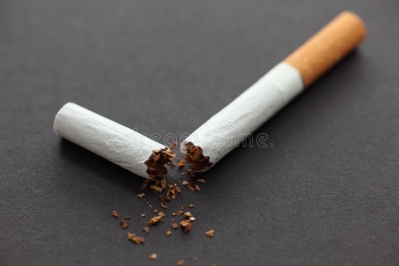 Broken cigarette stock photo. Image of product, habit - 45079920
