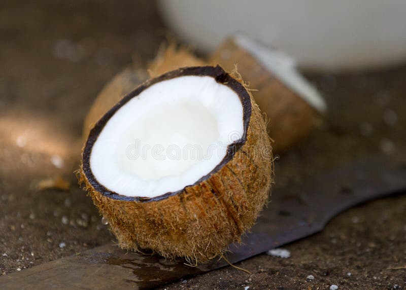 Broken coconut stock photo. Image of broken, fruit, diet - 16206664