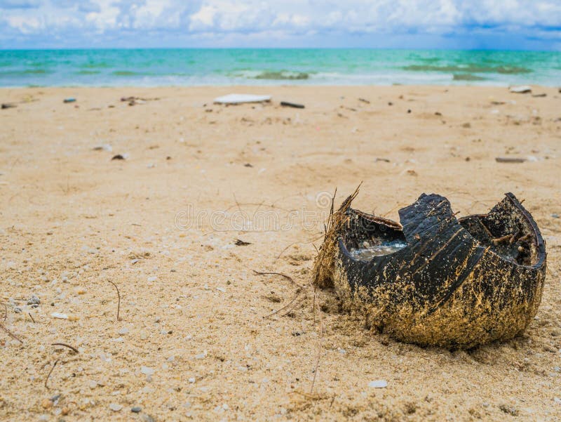 Broken coconut shell stock image. Image of beautiful - 123196737