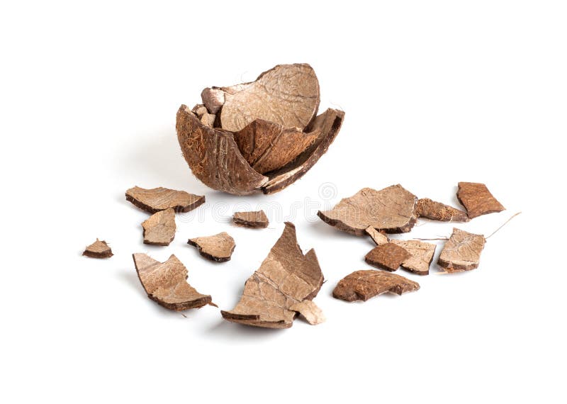 Broken Coconut Shell on White Background. Empty Broken Ovoid Shell ...