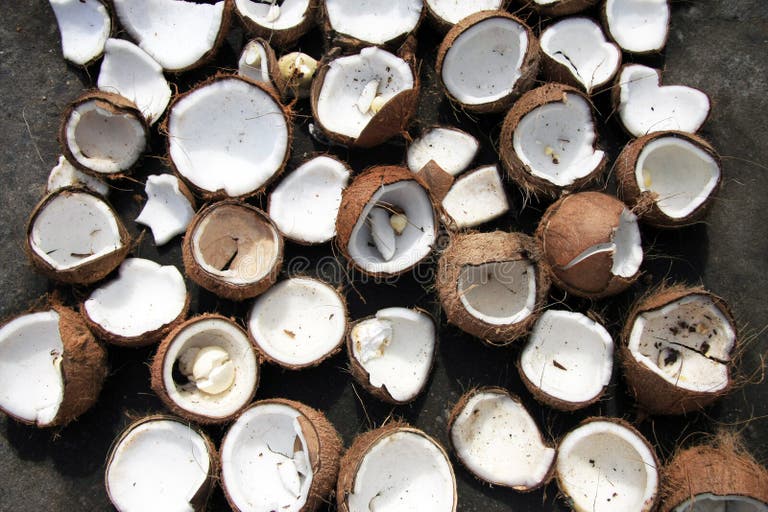 Broken Coconut Shells on the Ground Stock Photo - Image of craft, coco ...