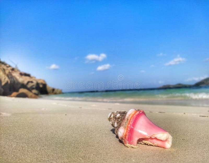 Saschakaiser - Photographer profile