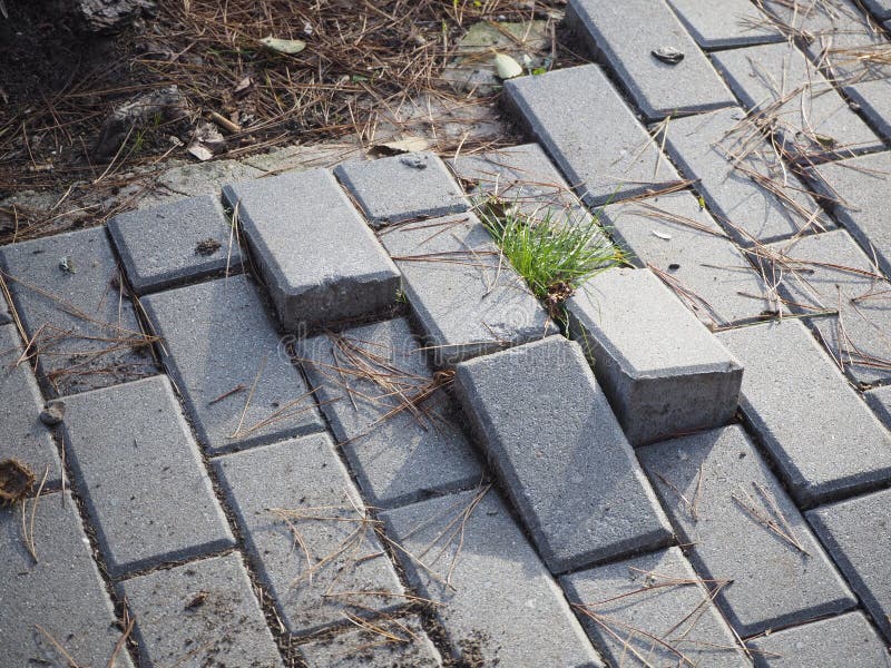 314 Cracked Cement Pathway Stock Photos - Free & Royalty-Free Stock ...