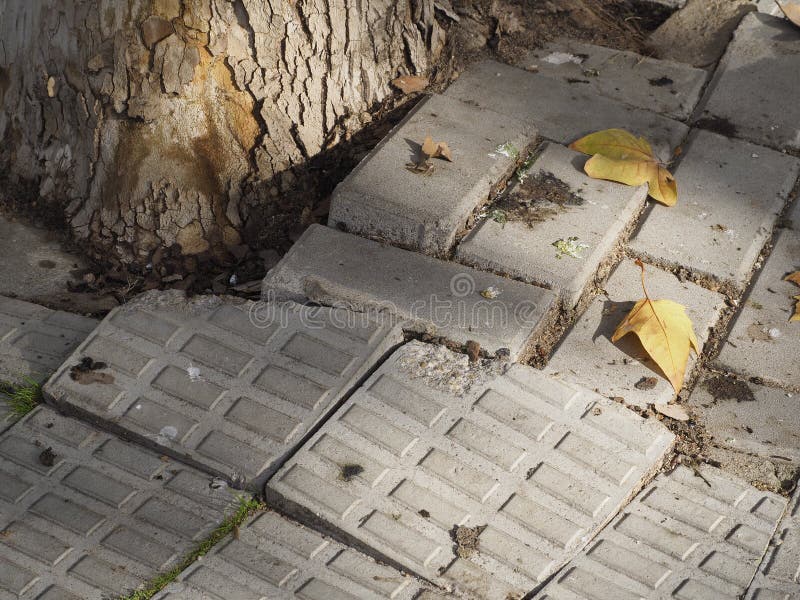 Rustic Cracked Pathway Stock Photos - Free & Royalty-Free Stock Photos ...