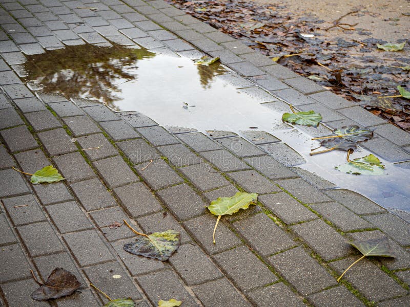 Broken Concrete Pathway Brick Surface Background, Melancholy Concept ...