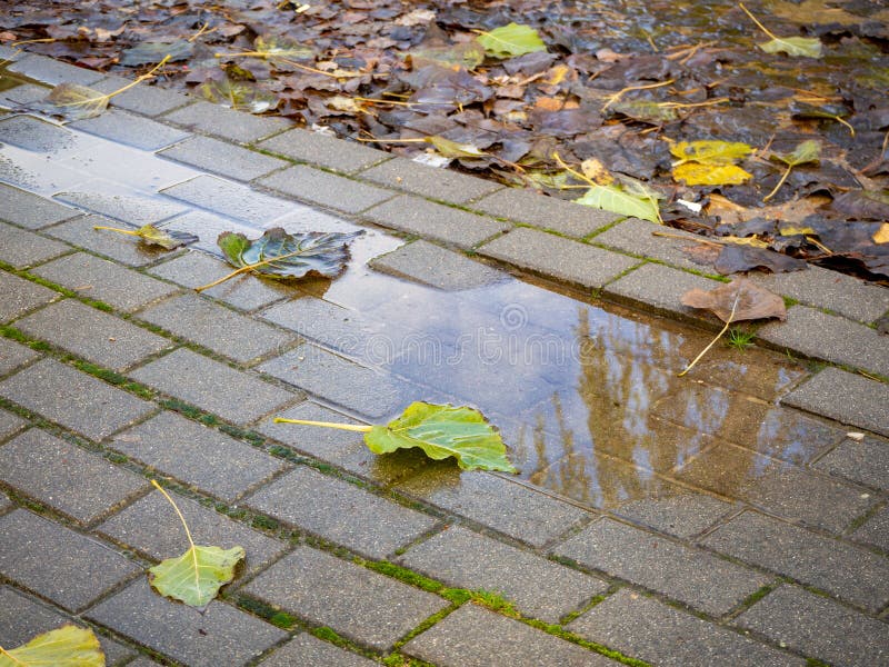 Broken Concrete Pathway Brick Surface Background, Melancholy Concept ...