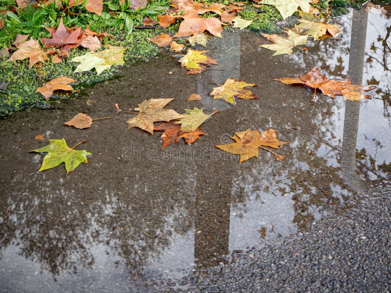 Broken Concrete Pathway Brick Surface Background, Melancholy Concept ...