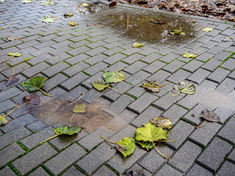 Broken Concrete Pathway Brick Surface Background, Melancholy Concept ...