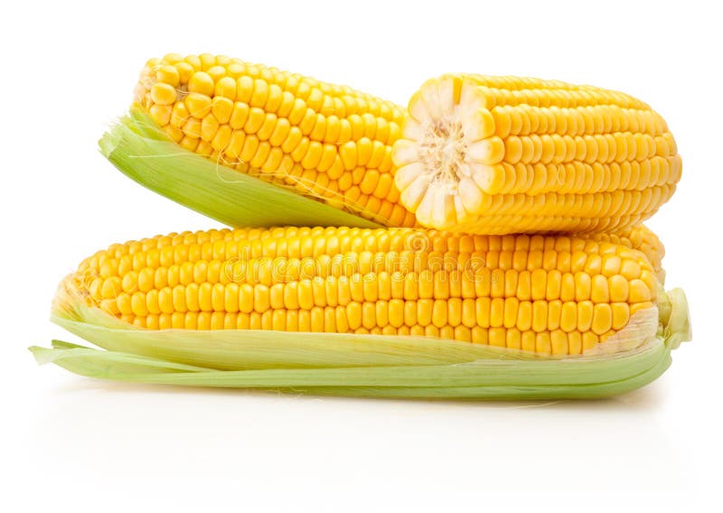 Broken Corn on Cobs Kernels Peeled Isolated on White Background Stock ...
