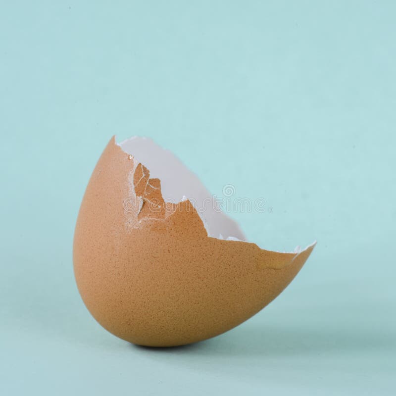 Broken and Cracked Egg Shell Stock Photo - Image of shell, cracked ...