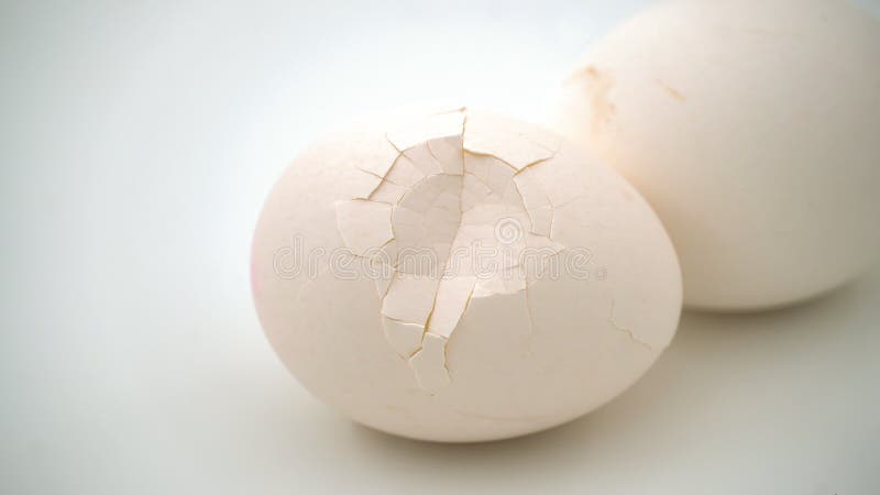 Broken and Cracked Egg Shell on an Isolated Background Stock Photo ...
