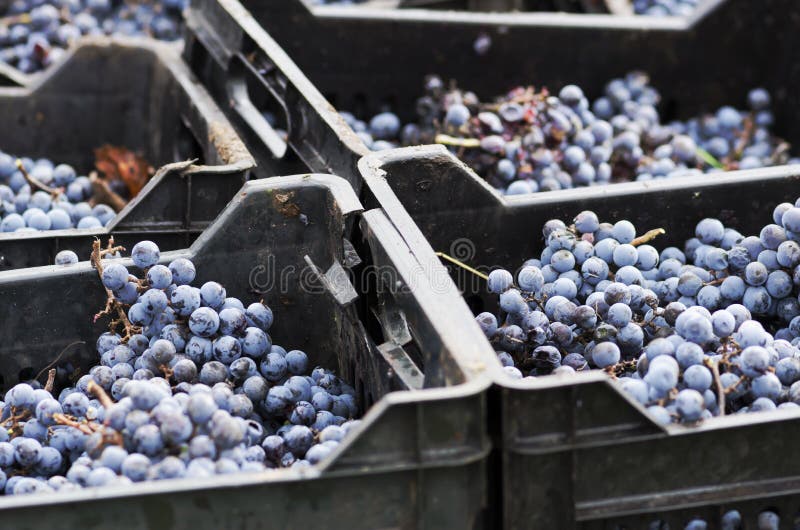 Broken Crates Stock Photos - Free & Royalty-Free Stock Photos from ...