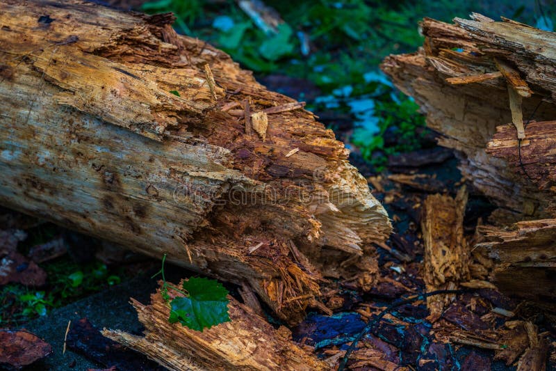 Shattered Aftereffects Stock Photos - Free & Royalty-Free Stock Photos ...