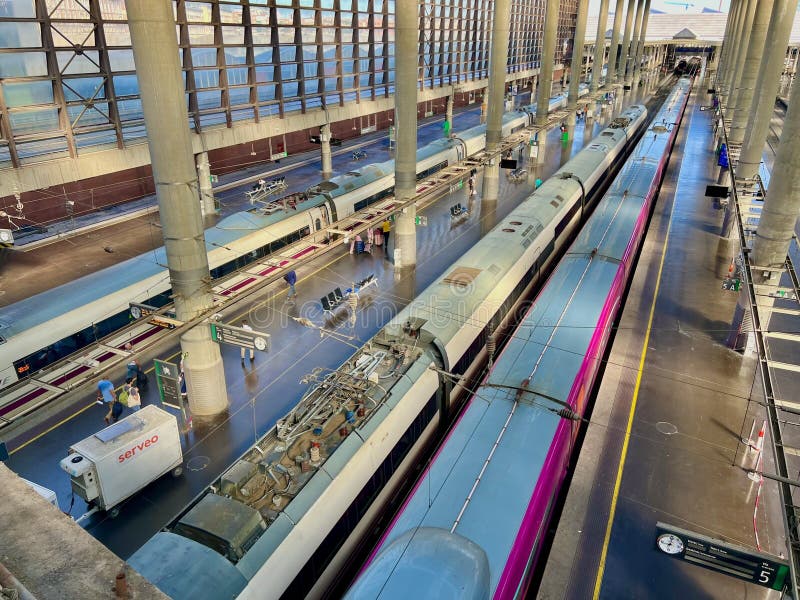 View of a Train Station with Several Tracks Protected by a Roof with ...