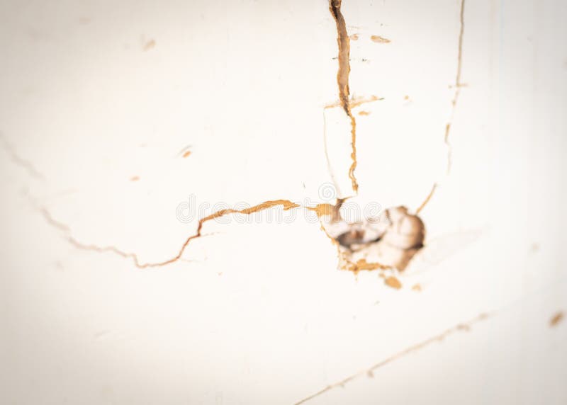 Broken Drywall Boards Flat Panel Made from Gypsum Plaster Sandwiched ...