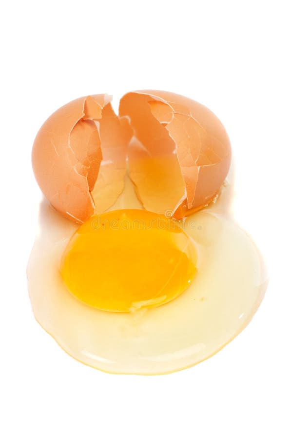 Broken Egg stock photo. Image of fell, broken, white - 21622080