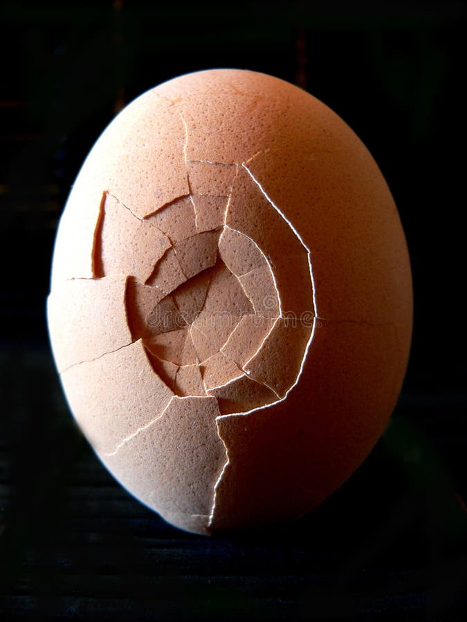 Broken egg stock image. Image of eggshell, cracked, chicken - 4637147