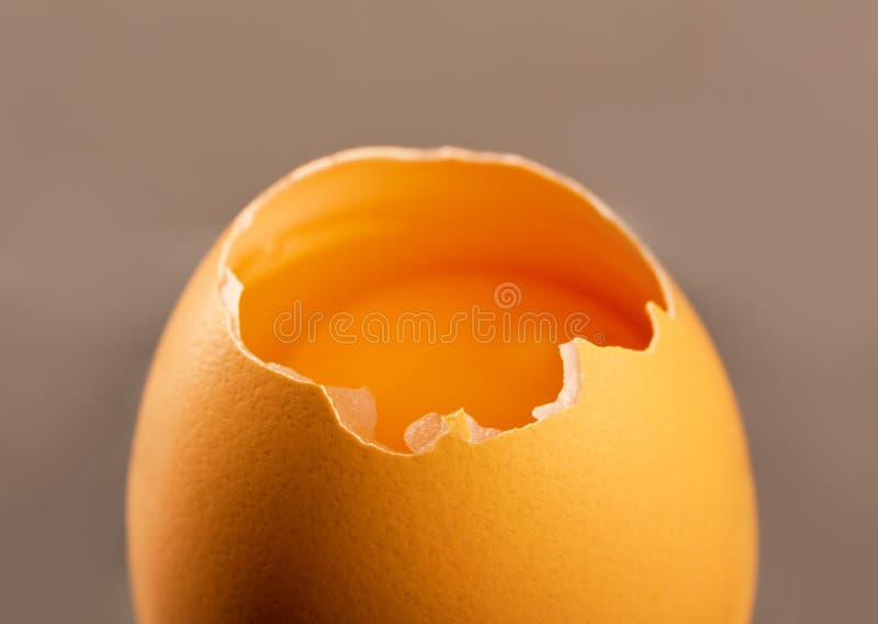 Eggshell cracks stock image. Image of close, nest, cracked - 19134307