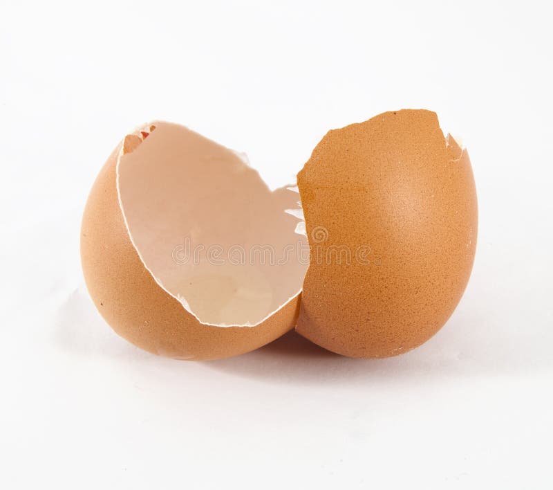 Broken egg shell stock photo. Image of background, shape - 19486324