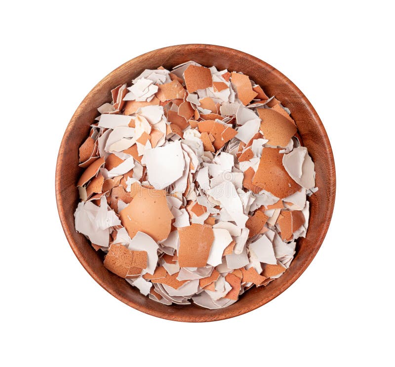 Broken Egg Shell in Bowl, Crushed Eggshell, Calcium Supplement, Cracked ...