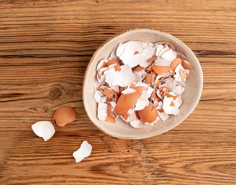 Broken Egg Shell, Crushed Eggshell, Calcium Supplement, Cracked ...