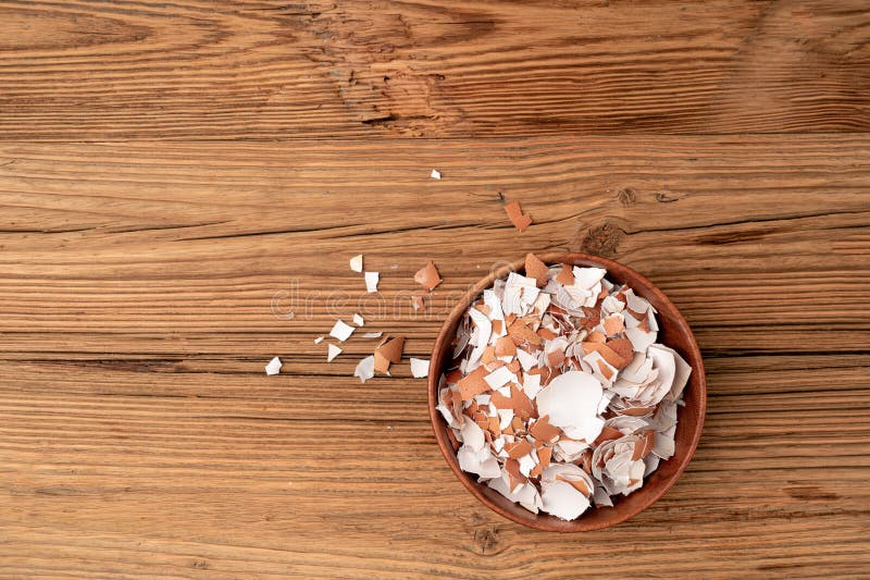 Broken Egg Shell, Crushed Eggshell, Calcium Supplement, Cracked ...