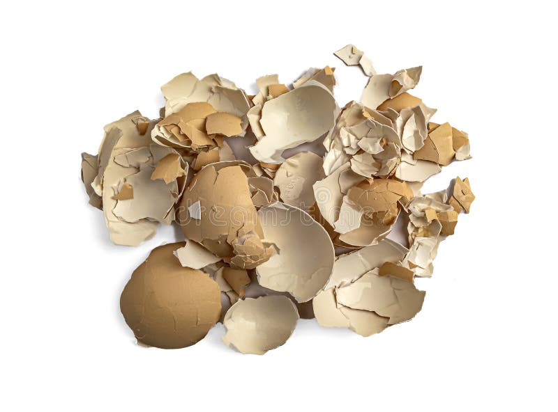 Broken Egg Shell, Cracked Eggshells, Broken Egg Shells on White ...