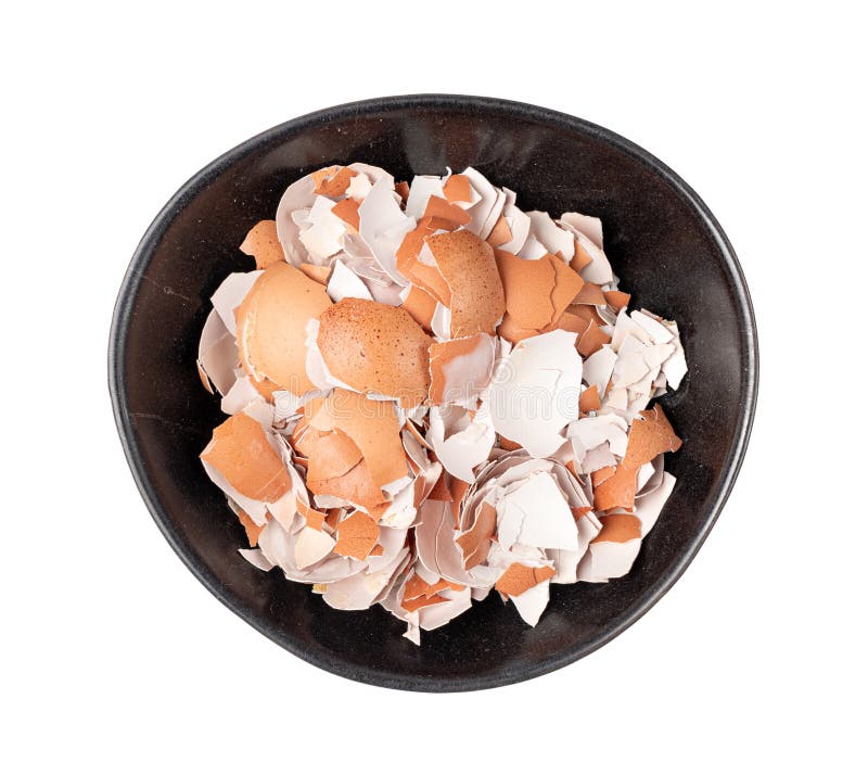 Broken Egg Shell, Crushed Eggshell, Calcium Supplement, Cracked ...