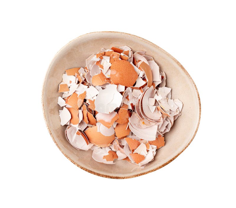 Broken Egg Shell, Crushed Eggshell, Calcium Supplement, Cracked ...