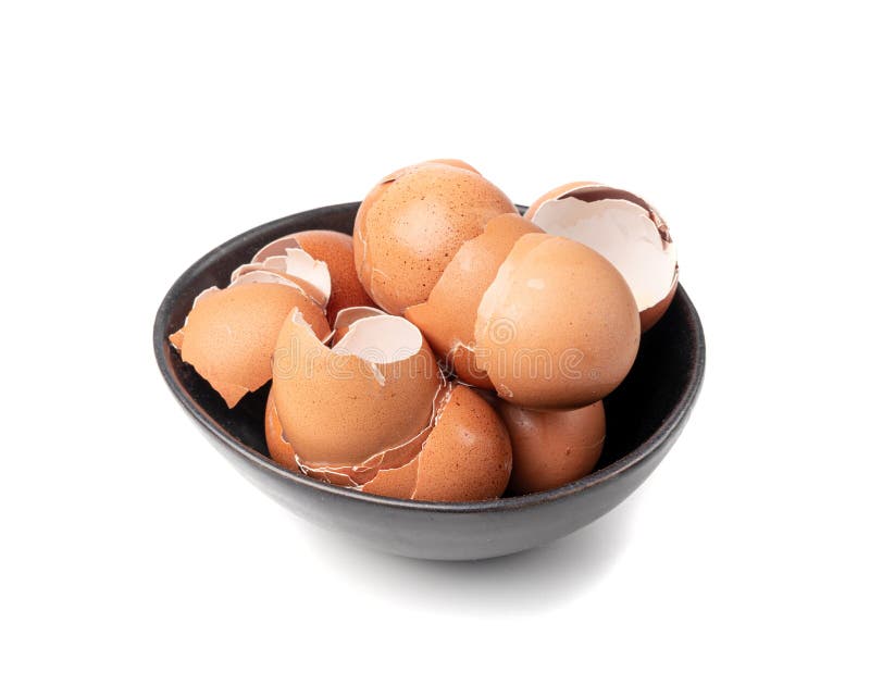 Broken Egg Shell, Crushed Eggshell, Calcium Supplement, Cracked ...