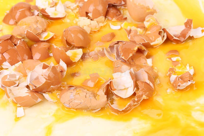 Broken Egg Shells. stock photo. Image of fragile, poultry - 38094818