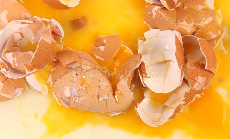 Broken egg shells close up stock photo. Image of whiteblurred - 36062754