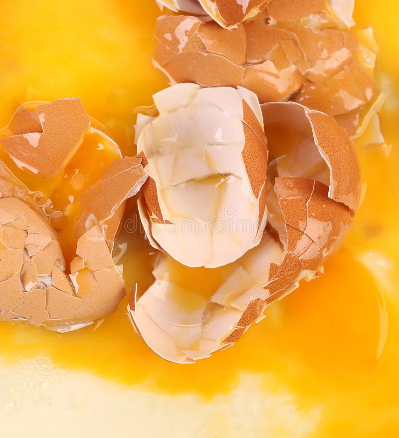 Broken egg shells. stock image. Image of eggshell, nature - 36088195