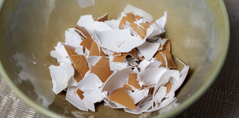 Broken Egg Shells ,Recycling Kitchen Waste, Crushed Egg Shells for the ...