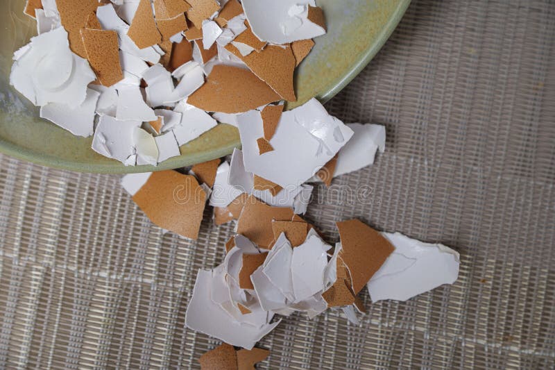 Broken Egg Shells ,Recycling Kitchen Waste, Crushed Egg Shells for the ...