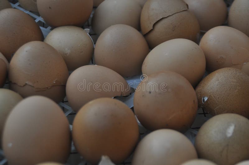 Eggshell. Dry Egg Shells in the Pan. Stock Image - Image of dessert ...