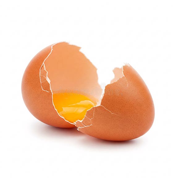 Broken Egg on White Background Stock Photo - Image of shadow, protein ...
