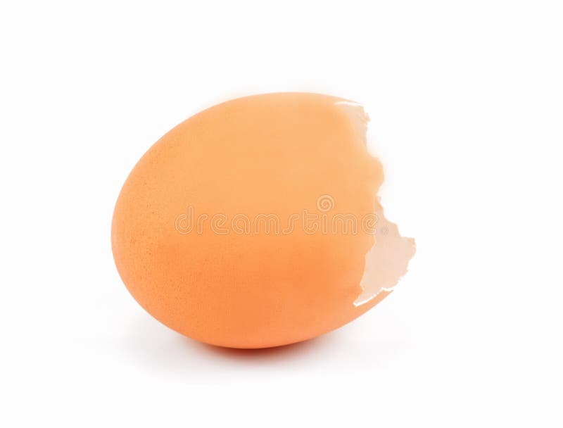 Broken Egg on White Background, Eggshell Stock Photo - Image of animal ...