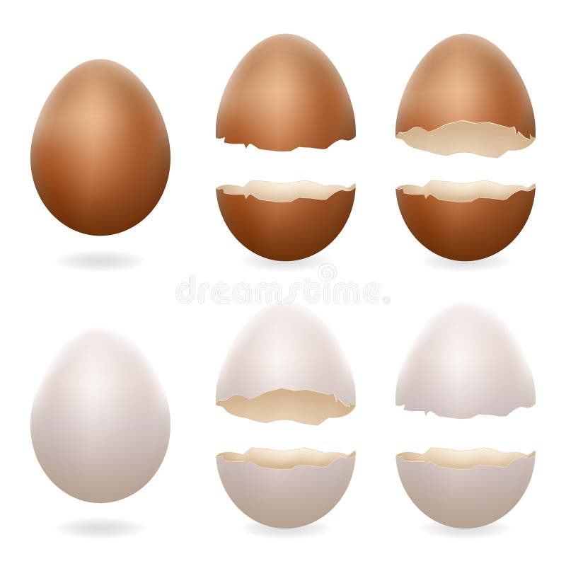 Easter Realistic Broken Egg Stock Illustrations – 525 Easter Realistic Broken Egg Stock ...