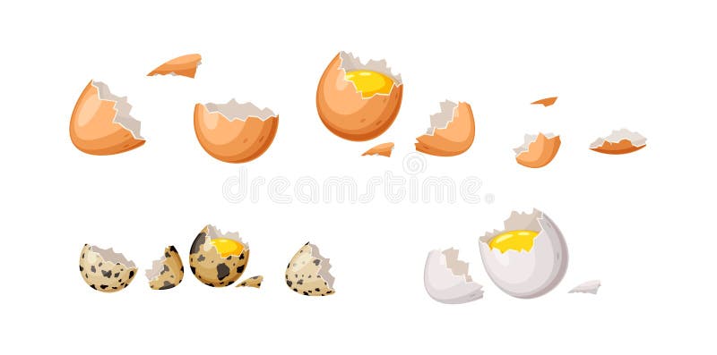Egg Broken Animation Stock Illustrations – 71 Egg Broken Animation ...