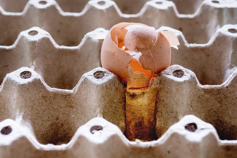 Broken Eggs Symbol of the Bad Packaging of Brittle Object Stock Photo ...
