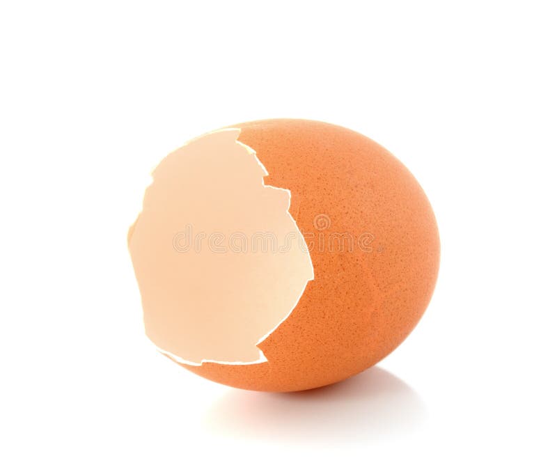 Broken eggshell #4 stock image. Image of broke, bird, detail - 256369
