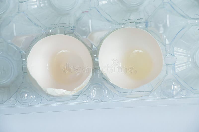 Rotten Egg Gas Stock Photos - Free & Royalty-Free Stock Photos from ...