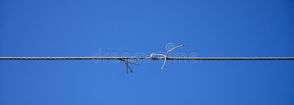 Broken electric wire stock photo. Image of generation - 42975904