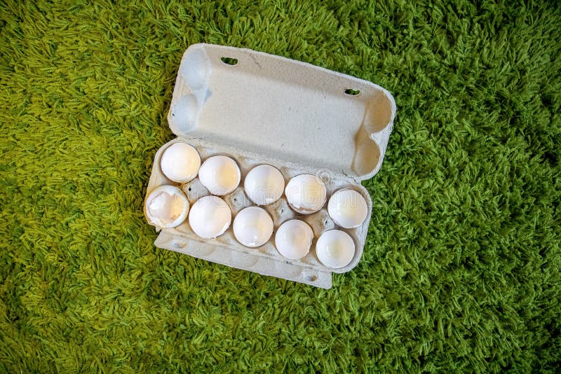 10 Broken Empty Egg Shells Lie in a Box on Artificial Grass. Top View ...