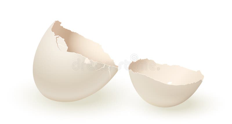 Broken Empty Eggshell Isolated on White Background. Vector Realistic ...