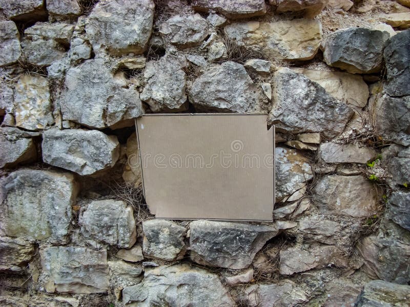 Broken empty eggshell stock image. Image of shell, chicken - 1710819