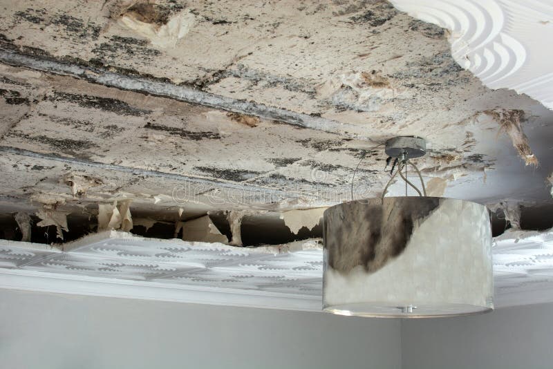 128 False Ceiling Texture Stock Photos - Free & Royalty-Free Stock ...