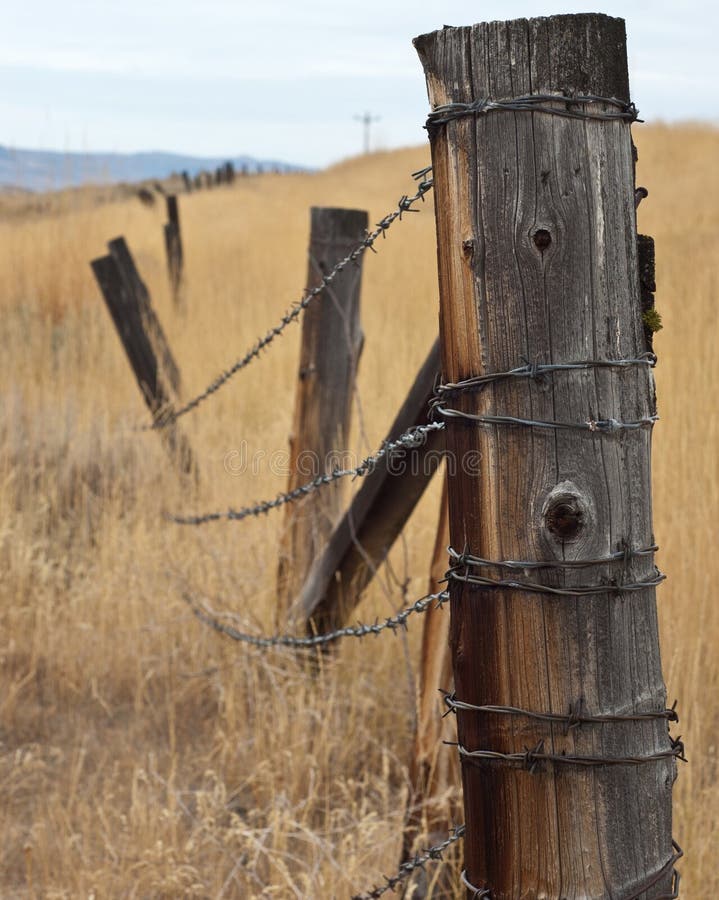 Ranch Fence stock photo. Image of grassland, meadow, habitat - 23250914