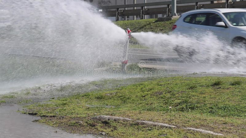 Broken Fire Hydrant stock footage. Video of park, problem - 244181558